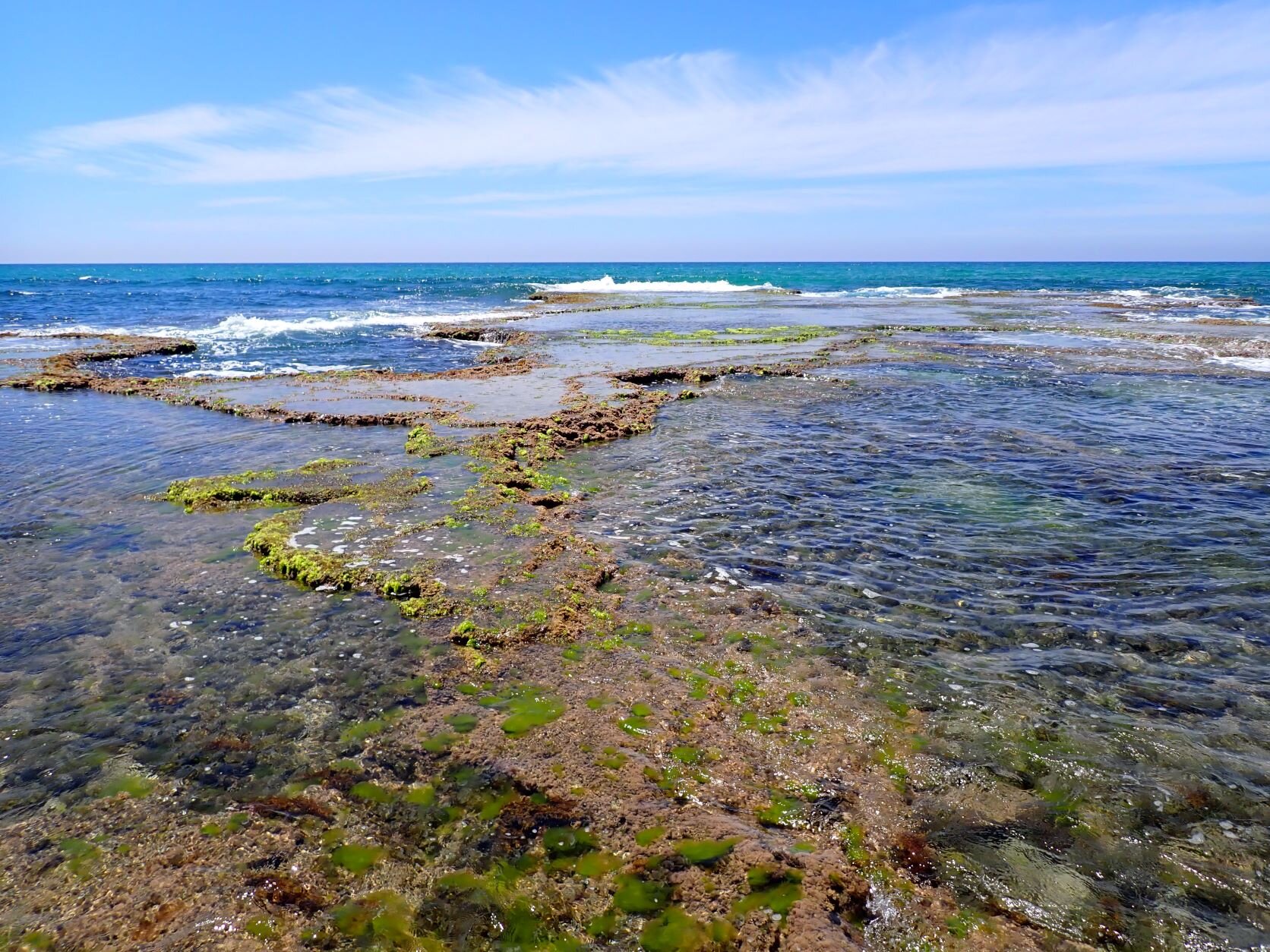 New aquaculture technology can help ease the global food crisis with ...