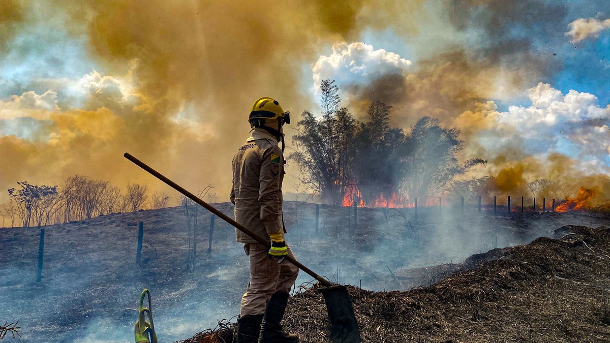 How close is the Amazon tipping point? Forest loss in the east changes ...