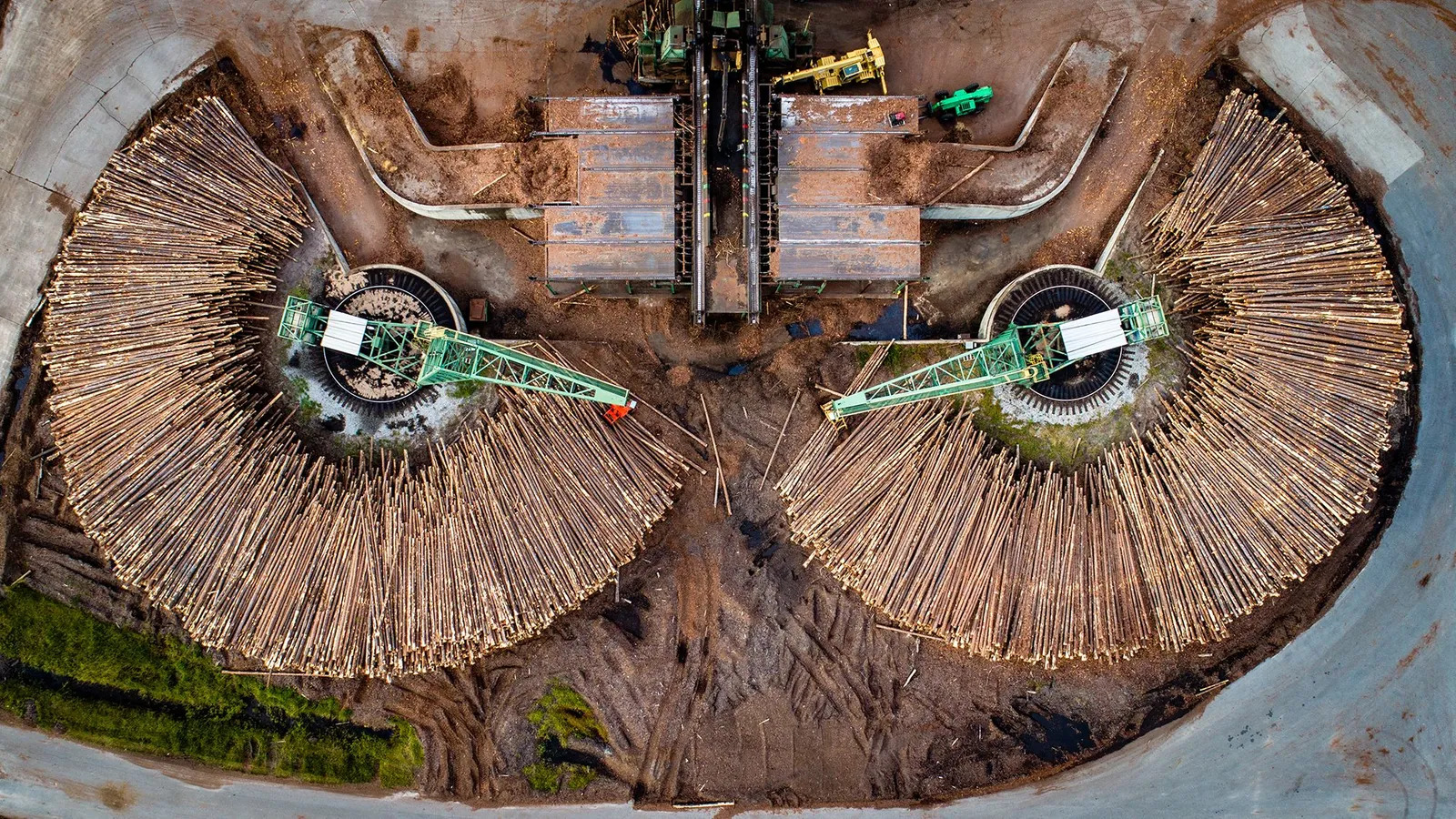 The promise of batteries that come from trees - CSENS