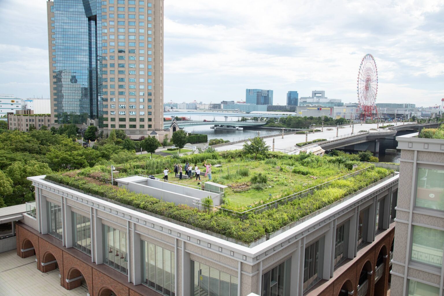 Can urban farming play a key role in food security? - CSENS