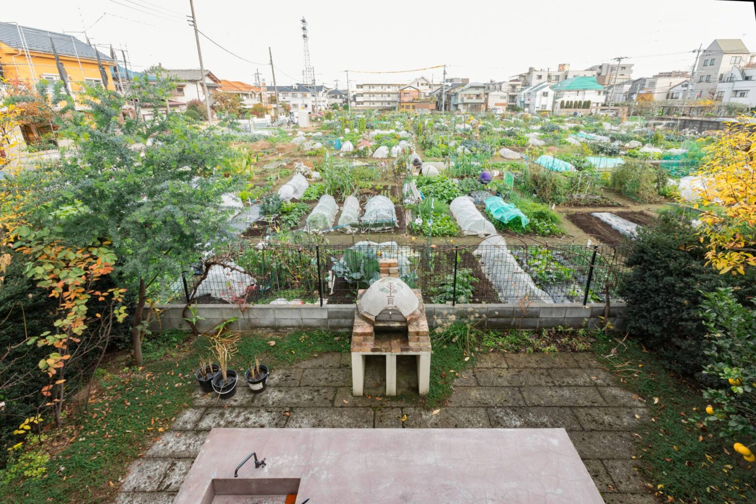 Can urban farming play a key role in food security? - CSENS